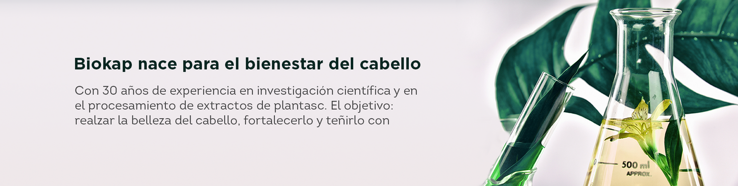 Conoce Nuestras Marcas – eBeauty